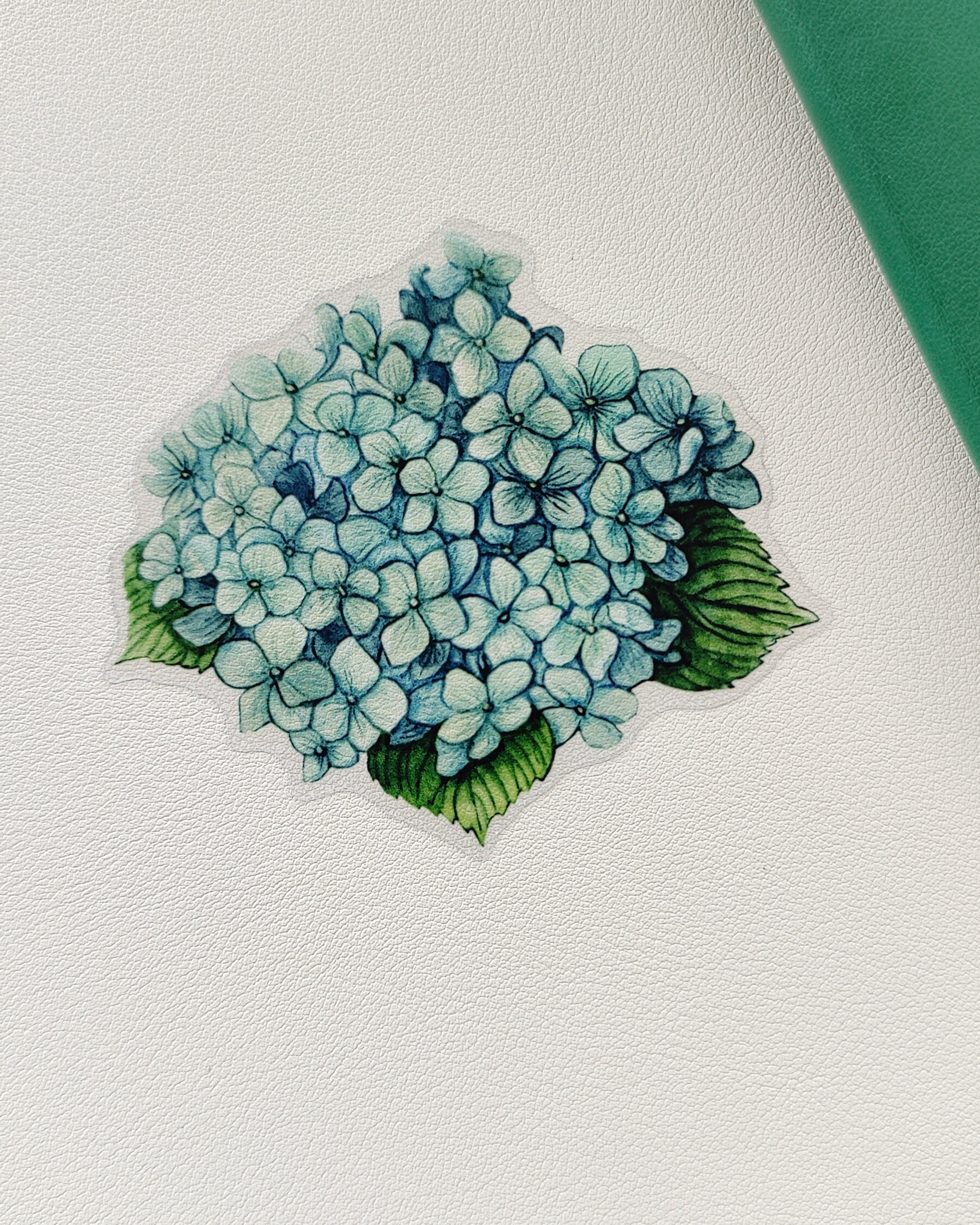Transparent Hydrangea Sticker, Watercolor Flower Sticker, Vinyl 3”x3 ...