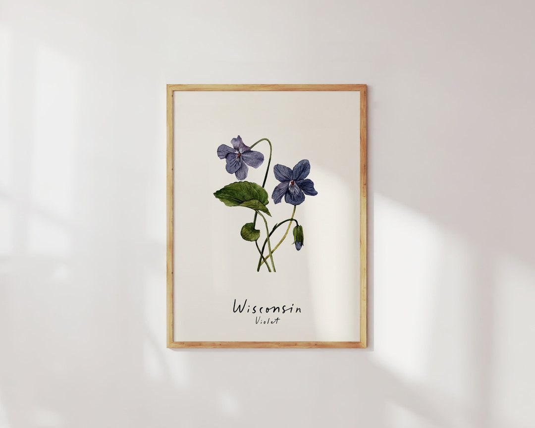 Wisconsin State Flower Print. Watercolor Purple Violet Wall Art. Floral ...