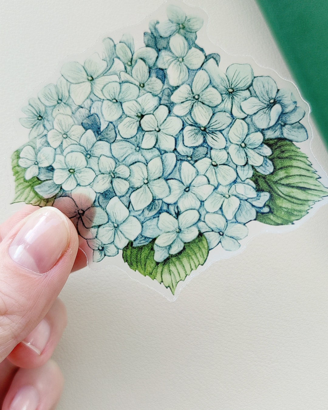 Transparent Hydrangea Sticker, Watercolor Flower Sticker, Vinyl 3x3 - Etsy