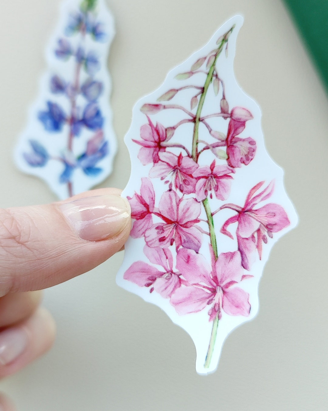 Fireweed Sticker, Watercolor Wildflower Sticker, Vinyl 3”x1.5” - Etsy