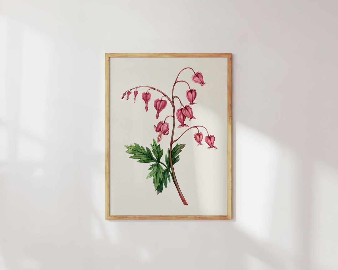 Bleeding Heart Flower Print: Original Watercolor Botanical Wall Art - Etsy