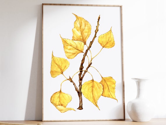 Aspen Tree Art Print. Giclee Botanical Art Print. Aspen Leaf - Etsy