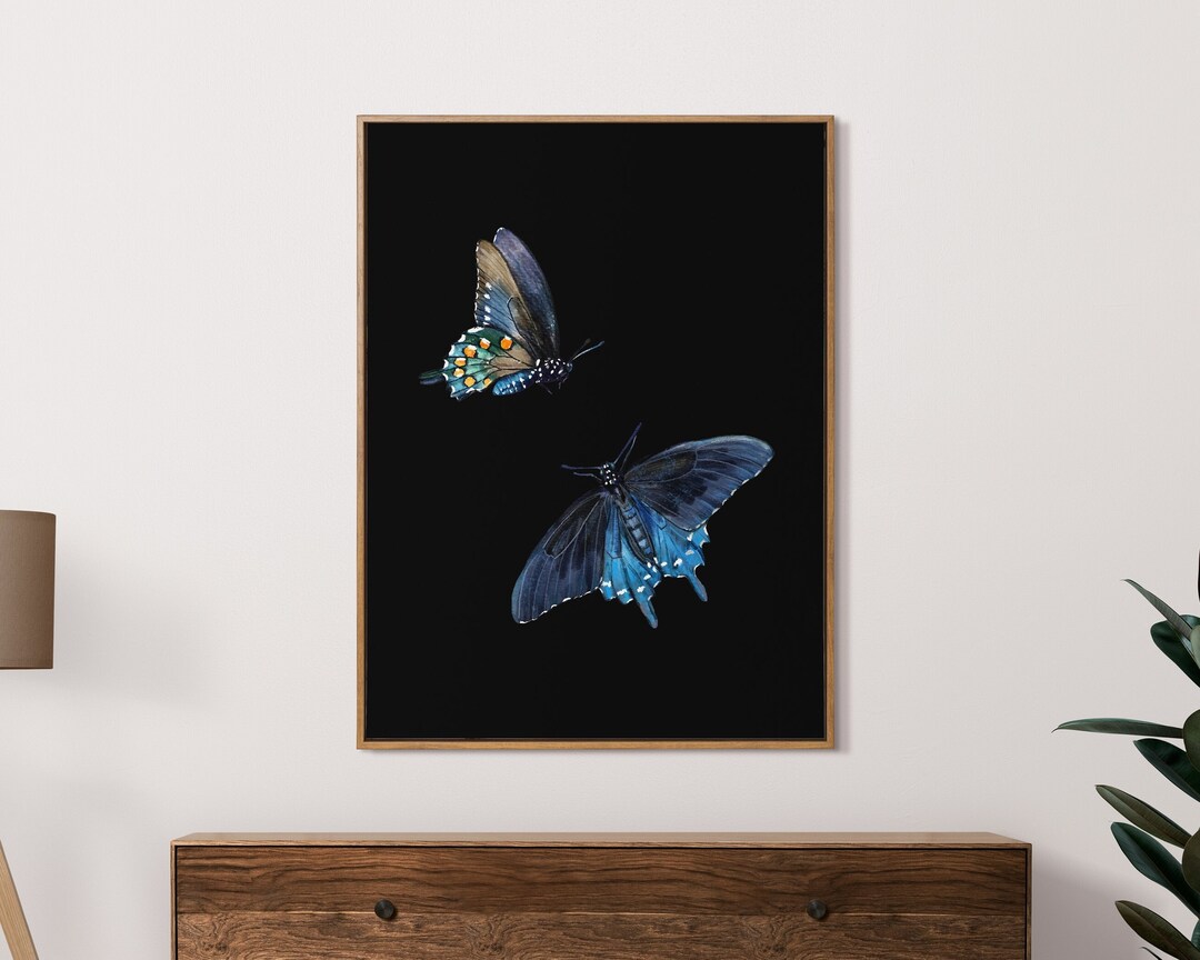 Pipevine Swallowtail Butterfly Print. Black Butterfly Watercolor ...