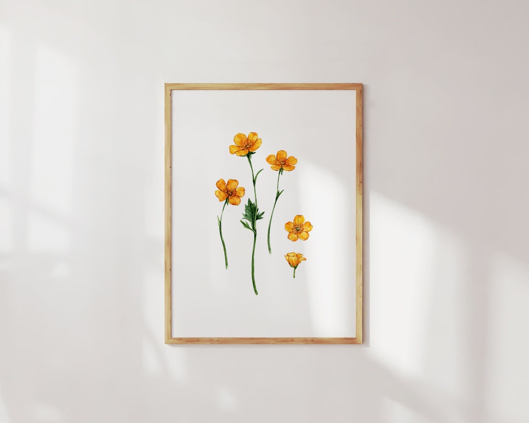 Buttercup Print. Yellow Buttercups Botanical Wall Art. Buttercup ...