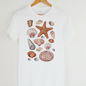 Seashell Shirt, Summer Vacation Sea Shell Tshirt, Beach Graphic Tee ...