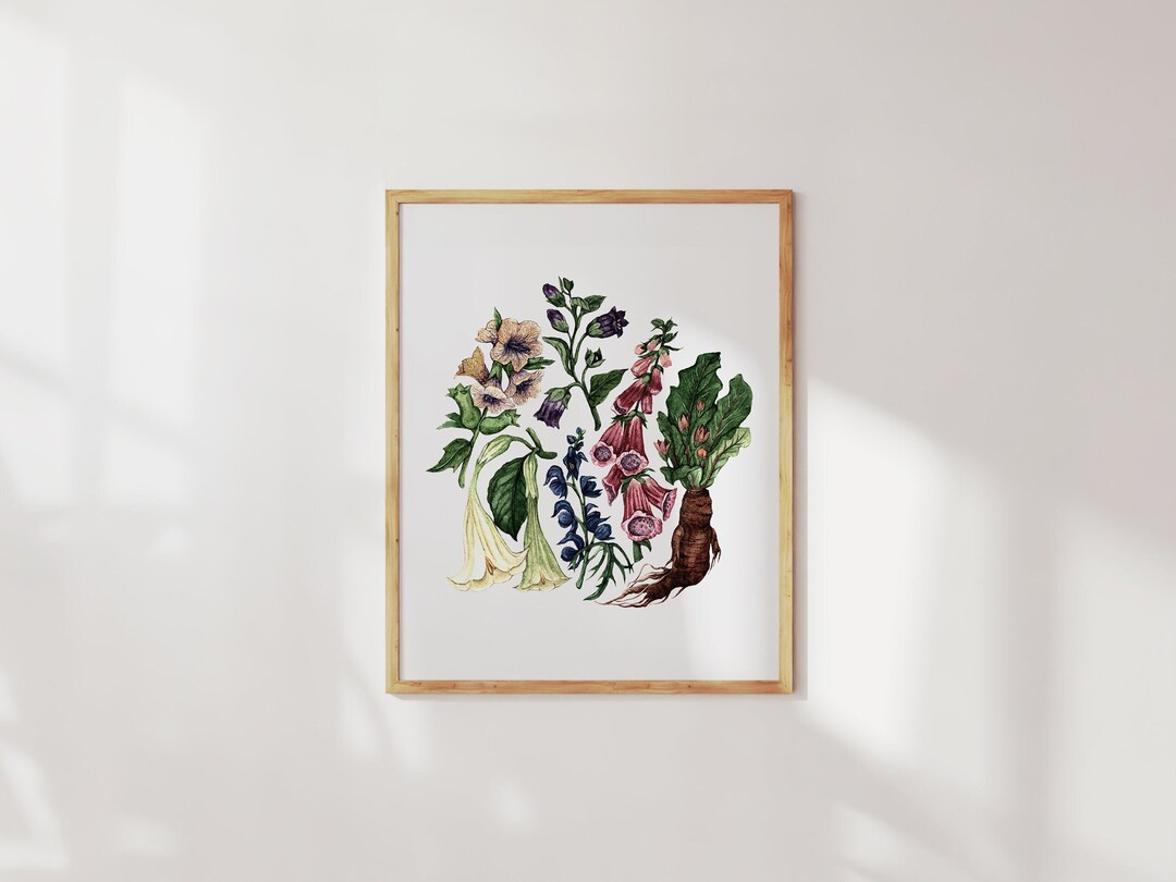 Poison Garden Botanical Print. Poisonous Plants Wall Art. Herbology ...