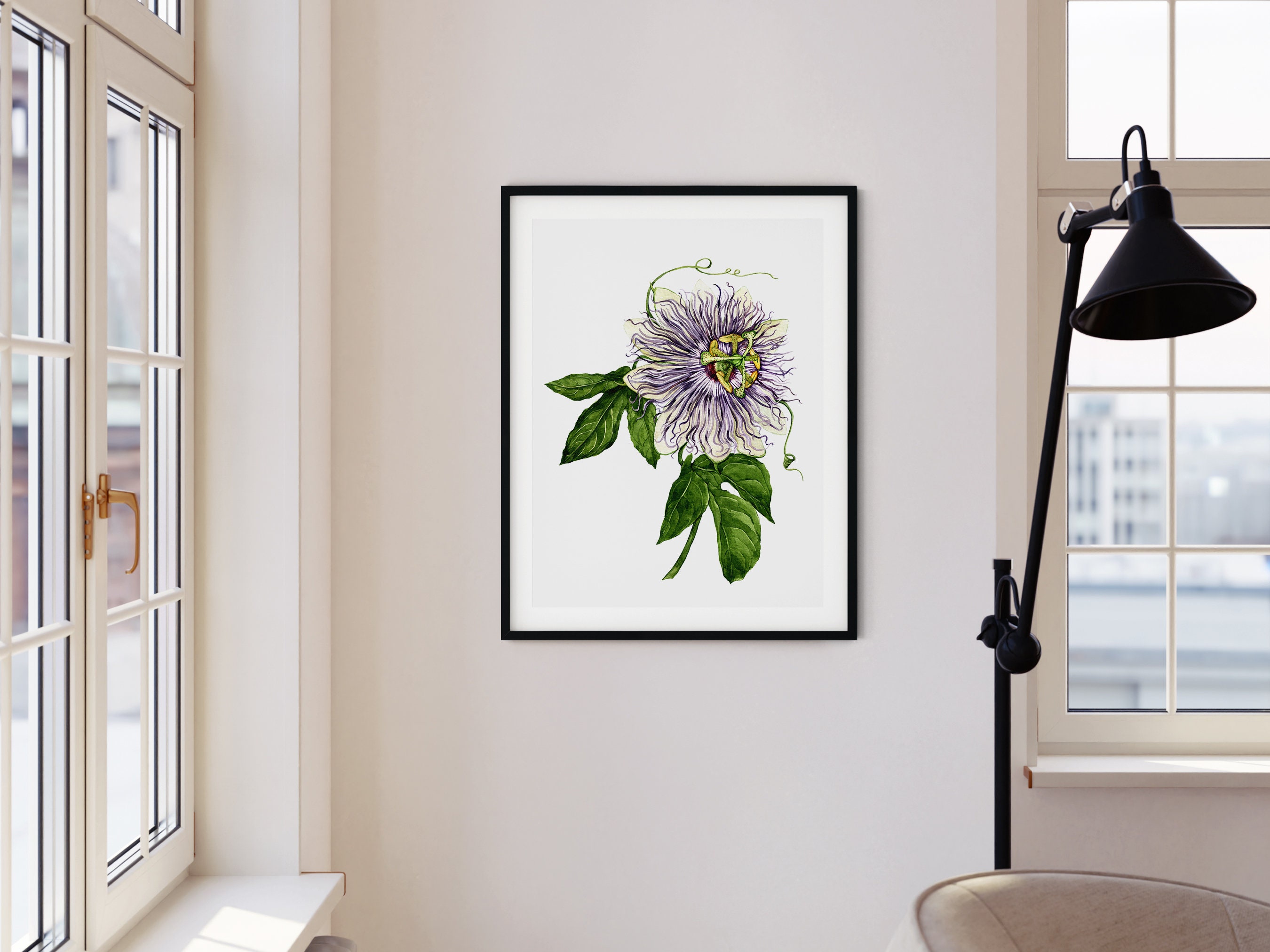 Shop — Anna Farba Illustration