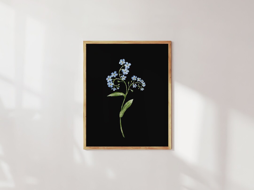 Forget Me Not Flower Print. Dark Botanical Wall Art. Forget-me-not ...