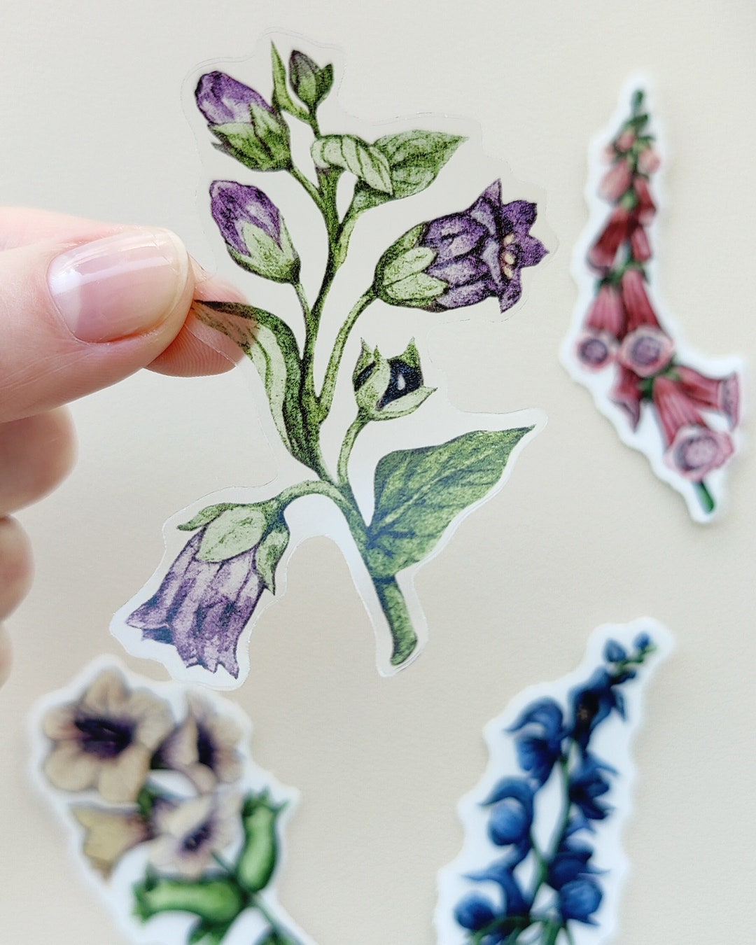 Clear Belladonna Sticker, Watercolor Poisonous Flower Sticker ...