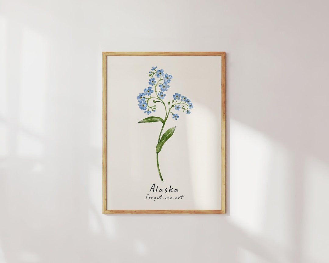 Alaska State Flower Print. Watercolor Forget-me-not Wall Art. Floral ...