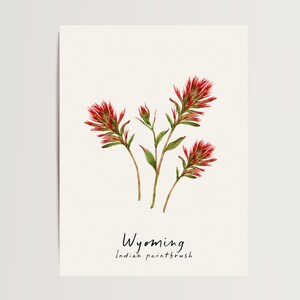 Wyoming State Flower Print. Watercolor Indian Paintbrush Wall Art ...