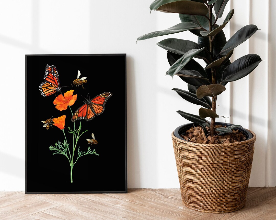 Monarch Butterfly and California Poppy Art Print. Dark Botanical Art ...