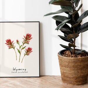 Wyoming State Flower Print. Watercolor Indian Paintbrush Wall Art ...