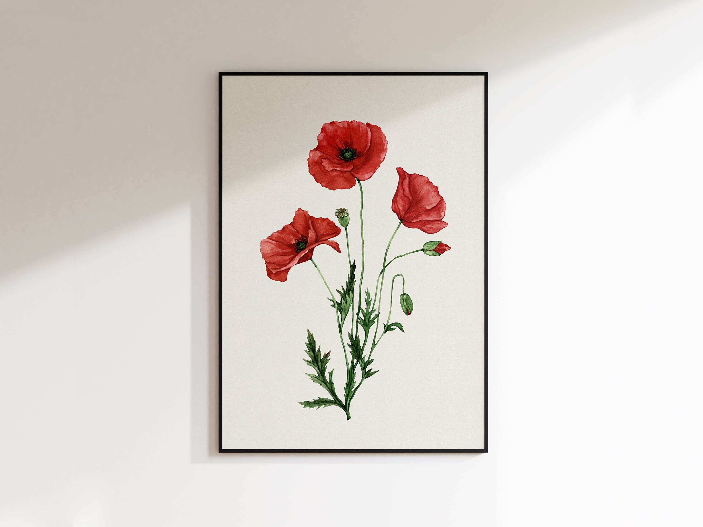 Red poppy art print — Anna Farba Illustration