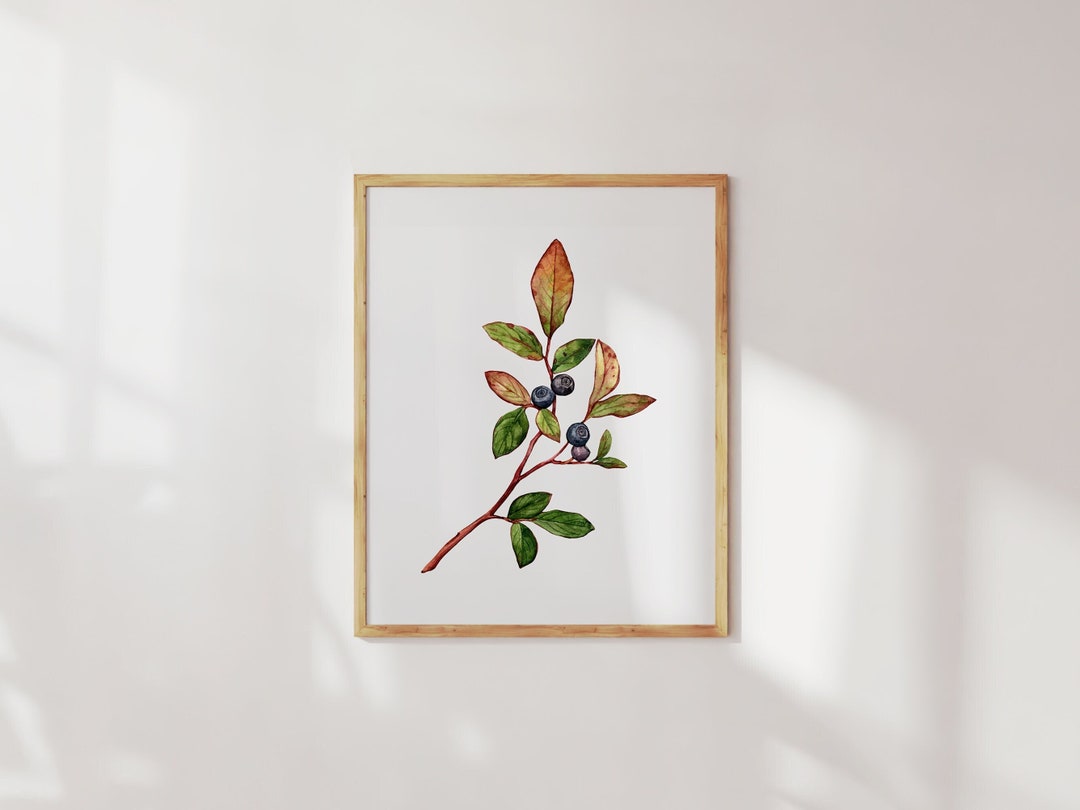 Huckleberry Botanical Print. Huckleberry Plant Wall Art. Wild Food ...