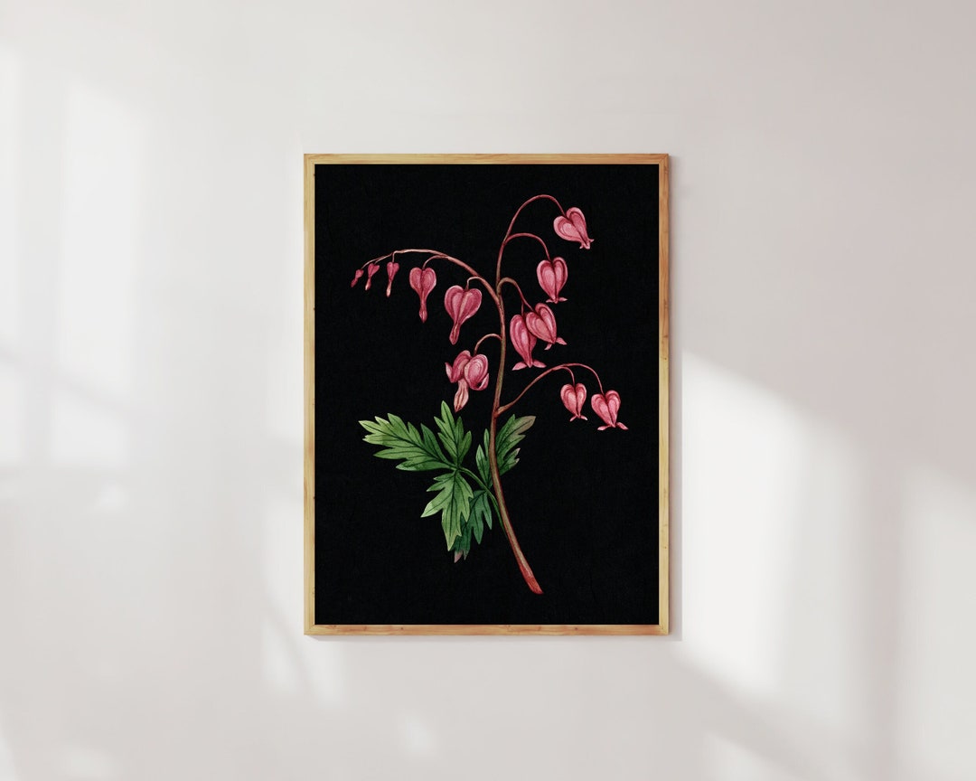Bleeding Heart Dark Print. Watercolor Heart Flower Art Print. Goth ...