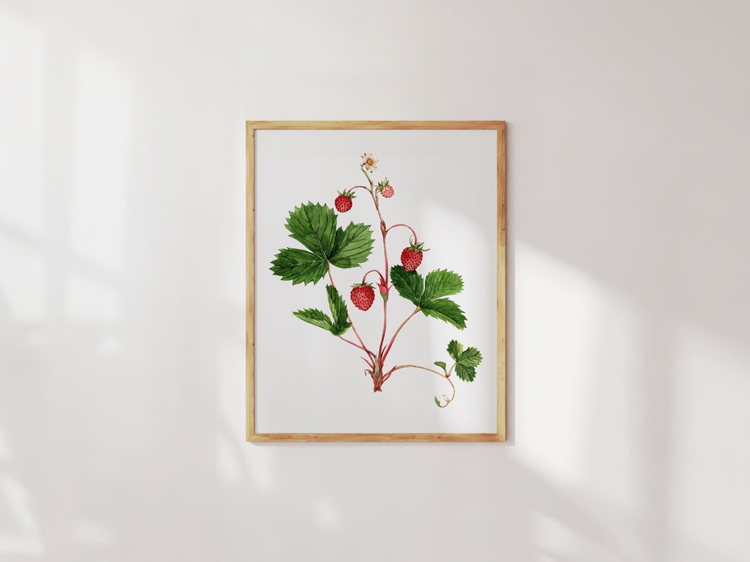 Strawberry Print. Watercolor Botanical Art Print. Alpine Strawberry ...