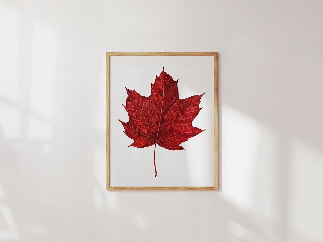 Maple Leaf Print. Watercolor Canadian Maple Wall Art. Red Maple ...