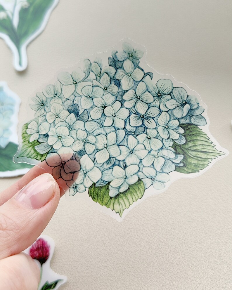 Transparent Hydrangea Sticker, Watercolor Flower Sticker, Vinyl 3”x3 ...