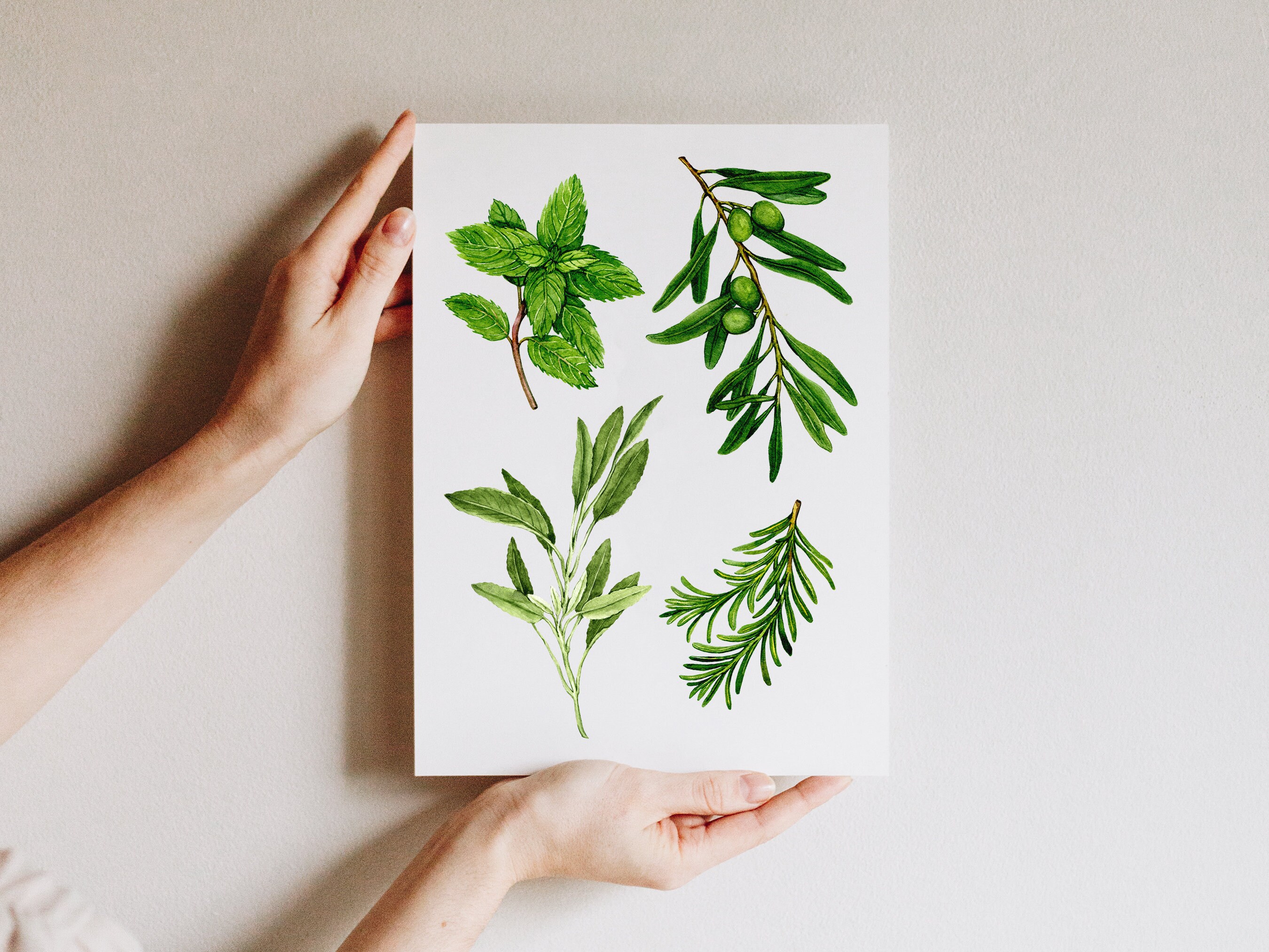 Herbs Art Print. Watercolor Herbs Art. Giclee Botanical Art - Etsy
