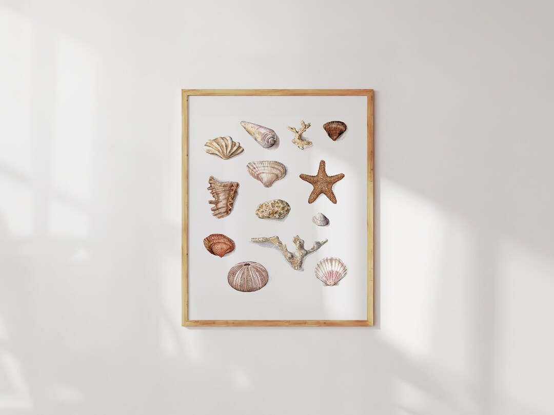Seashells Art Print. Seashell Collector Watercolor Print. Nautical ...