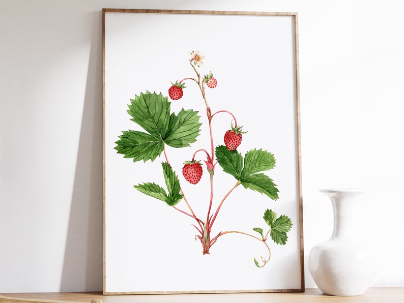 Strawberry Print. Watercolor Botanical Art Print. Wild - Etsy