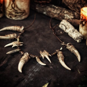 Celtic Tusk Necklace Viking Ornament Tribal Shaman Druid With Realistic ...