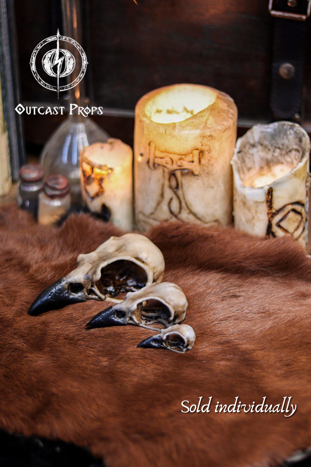 Realistic Crow Skull Replica Faux Bone Resin Raven Gothic Decor 3 Sizes ...