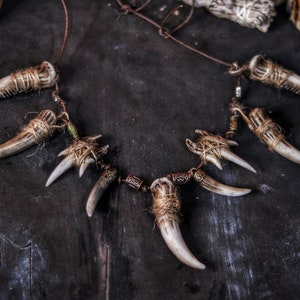 Celtic Tusk Necklace Viking Ornament Tribal Shaman Druid With Realistic ...