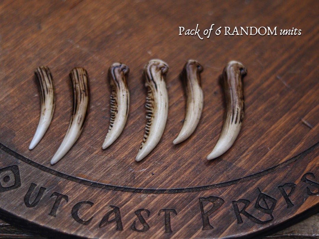 Realistic Resin Fang Tusk Pack for Cosplay Prop Supplies Fantasy ...