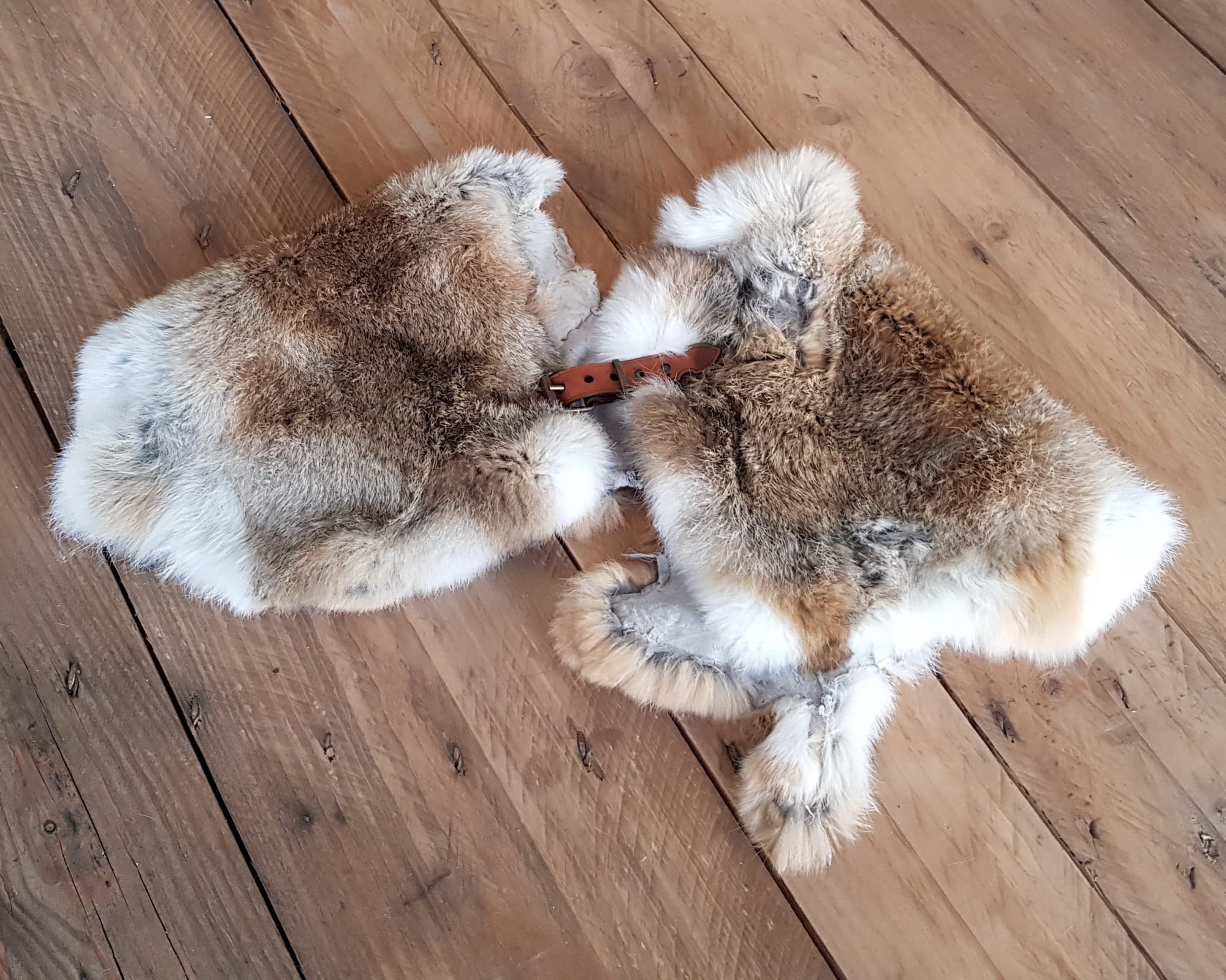 Viking fur mantle. Barbarian Celtic Tribal Rabbit fur | Etsy