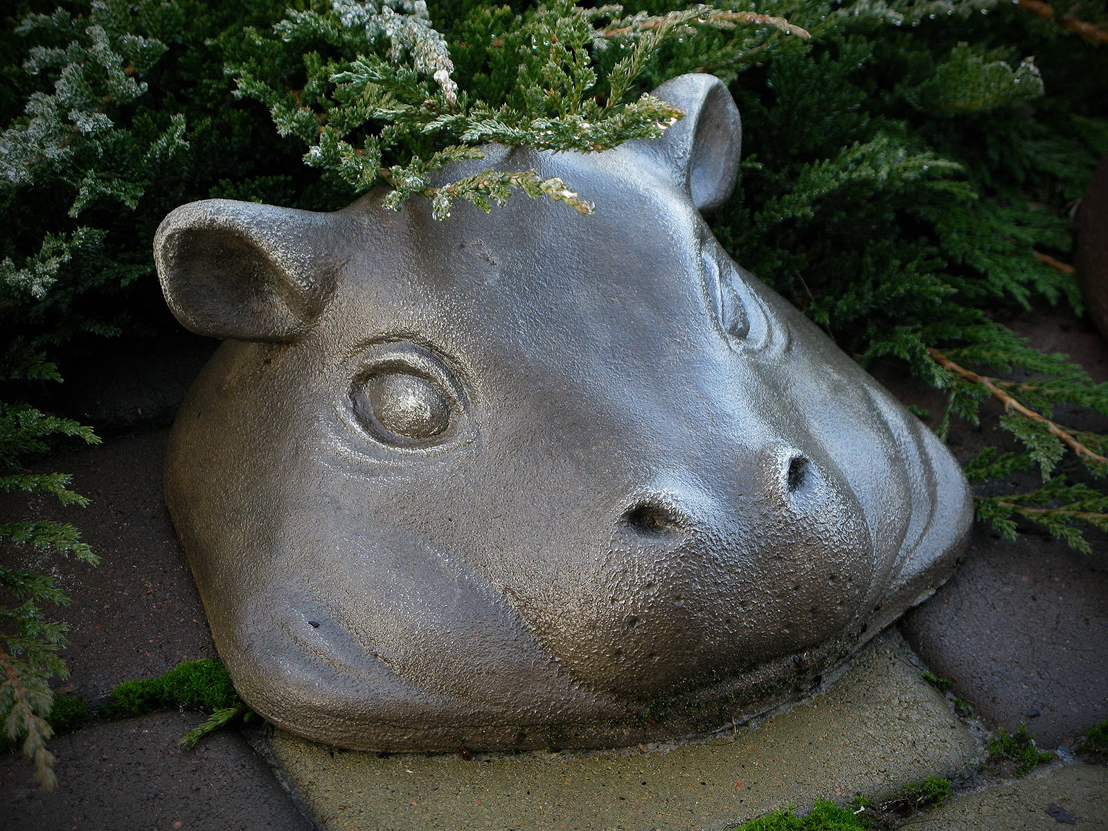 Garden Sculpture Hippopotamus Outdoor Sculpture Head of Animal Garden ...