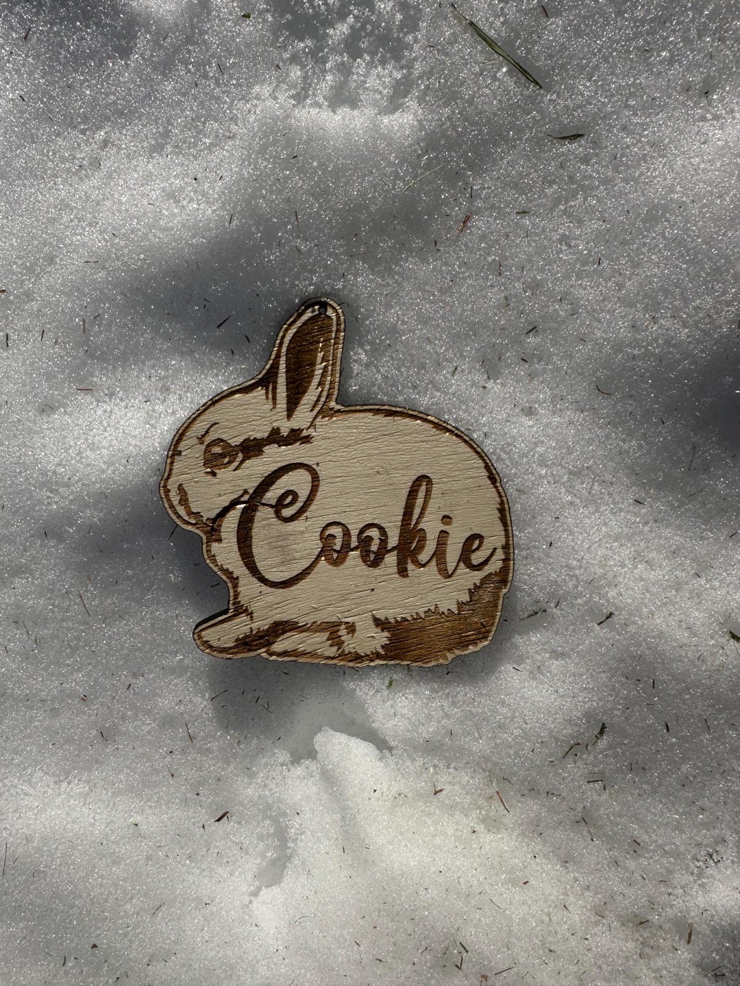 Netherland Dwarf Bunny Rabbit - Wooden Engraved Sign, Custom Bunny Gift ...