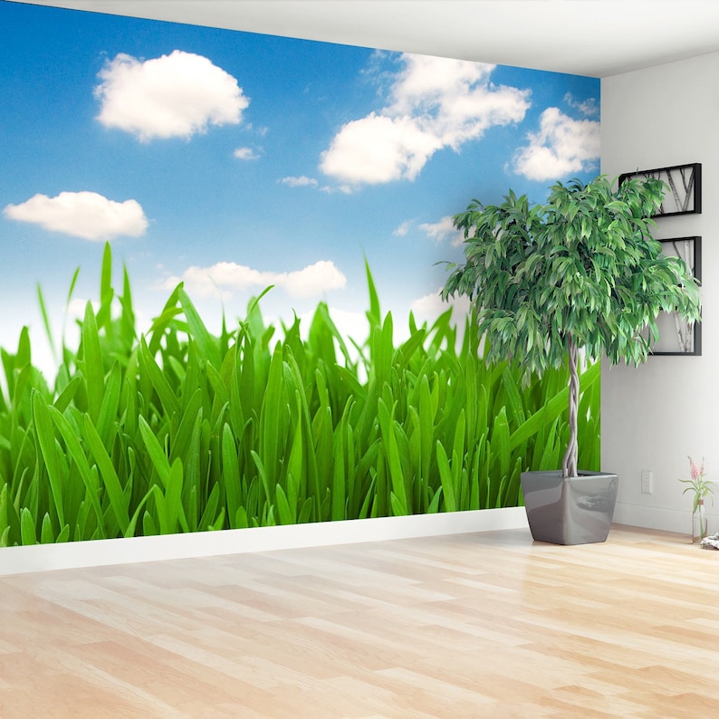 Grass Sky Peel and Stick or Classic Glue Photo Wall Mural - Etsy