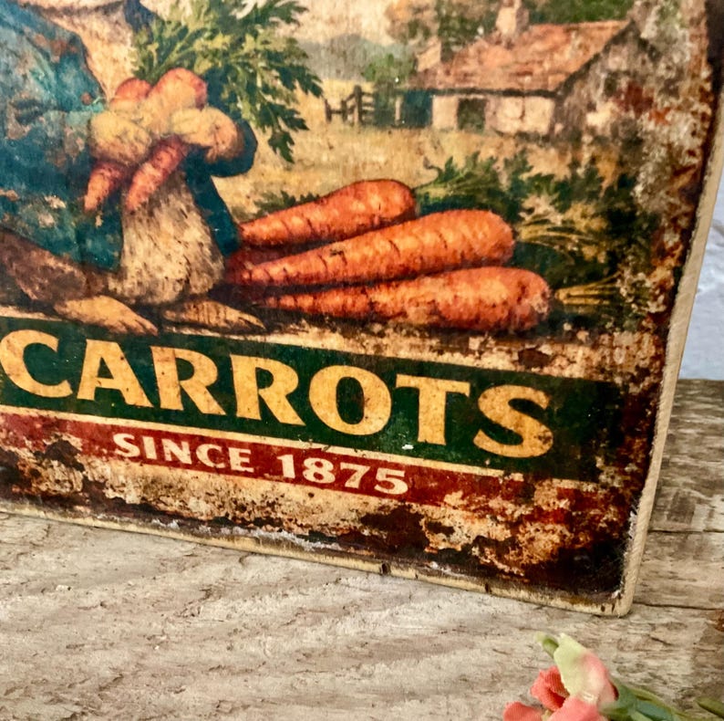 Peter Rabbit With Carrots Primitive Wood Craft - Etsy