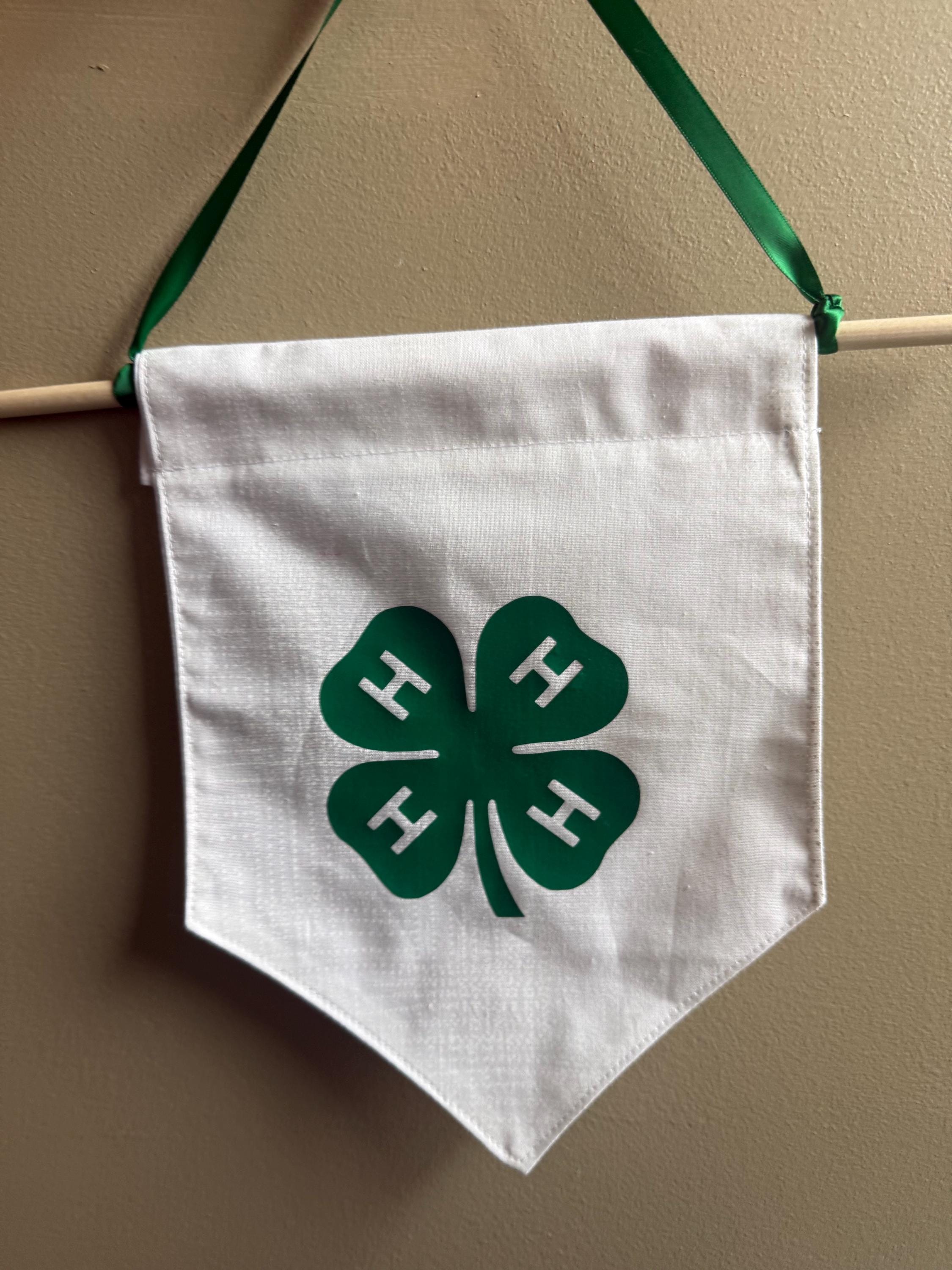 4-H Pin Display: Personalization Available - Etsy