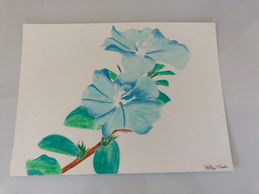 Beautiful Sacred Blue Flower - Etsy