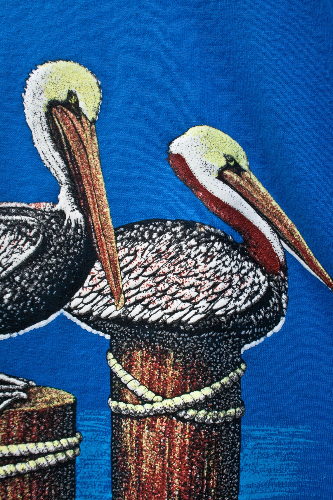 Florida Pelican Shirt Large Pelican Bird Souvenir Tee - Etsy
