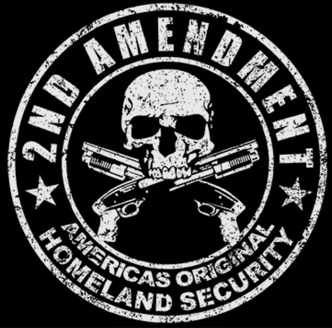 2nd Amendment Skull - Etsy
