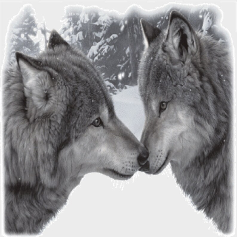 Muzzle Nuzzle Wolves Solar Trans Color Changing Shirt - Etsy