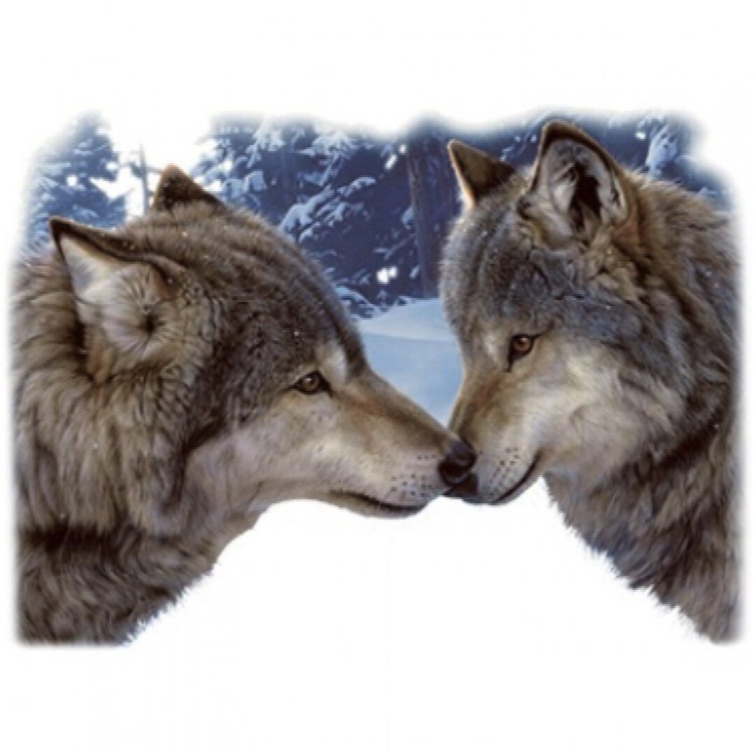 Muzzle Nuzzle Wolves Solar Trans Color Changing Shirt - Etsy