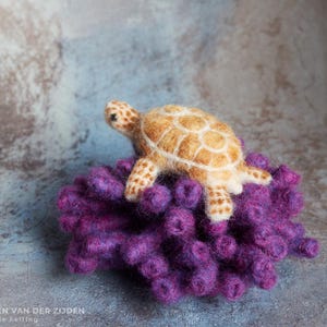 Needle Felted Sea Turtle in Coral - Felt Turtle, Realistic Needle ...