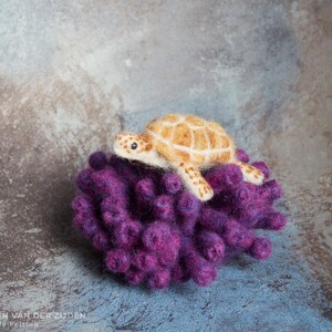 Needle Felted Sea Turtle in Coral - Felt Turtle, Realistic Needle ...
