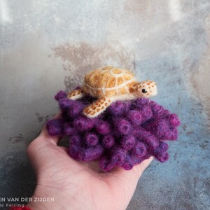 Needle Felted Sea Turtle in Coral - Felt Turtle, Realistic Needle ...