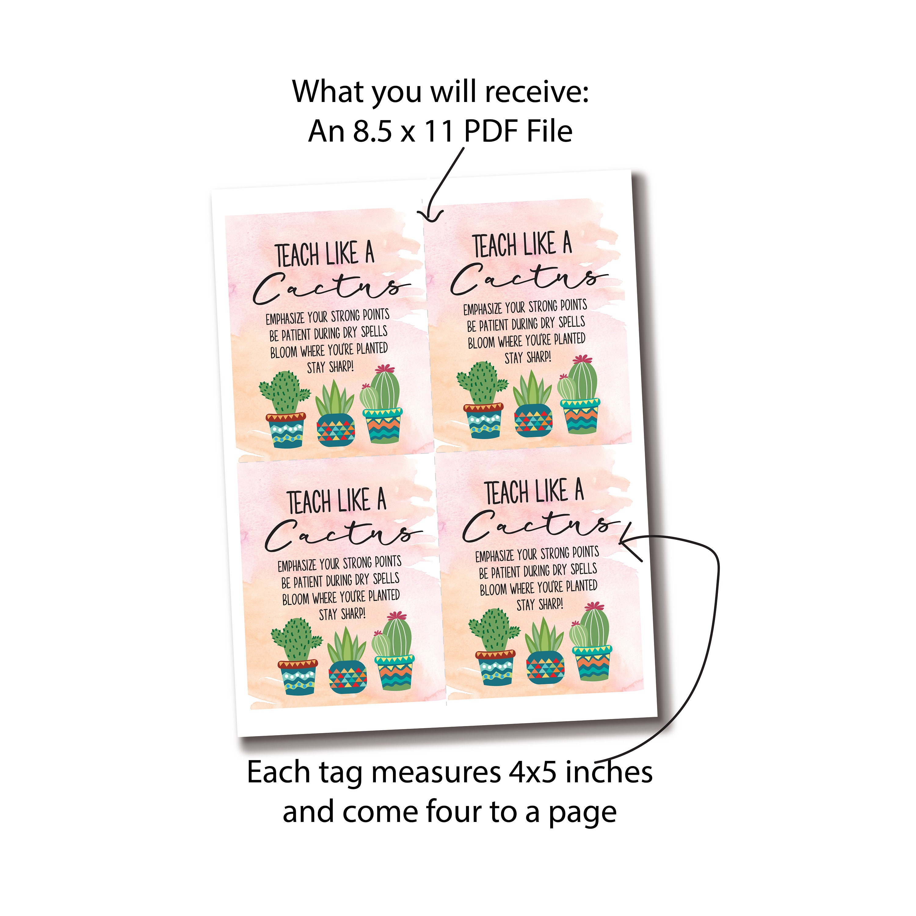 Teach Like A Cactus Teacher Gift Tag or Flat Card Digital Printable PDF ...