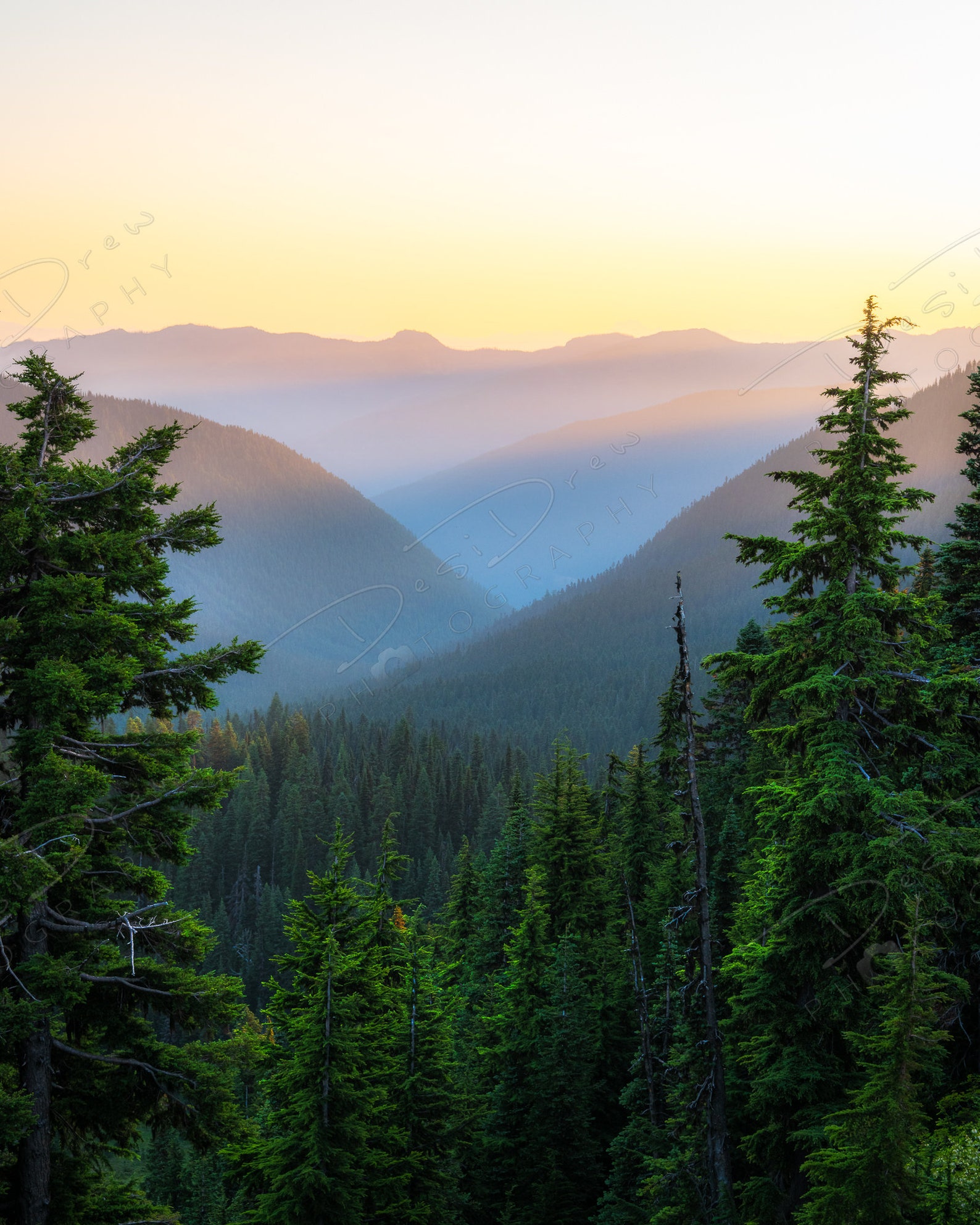 Mount Rainier Forest Skyline Fine Art Photo Print Picture | Choose ...