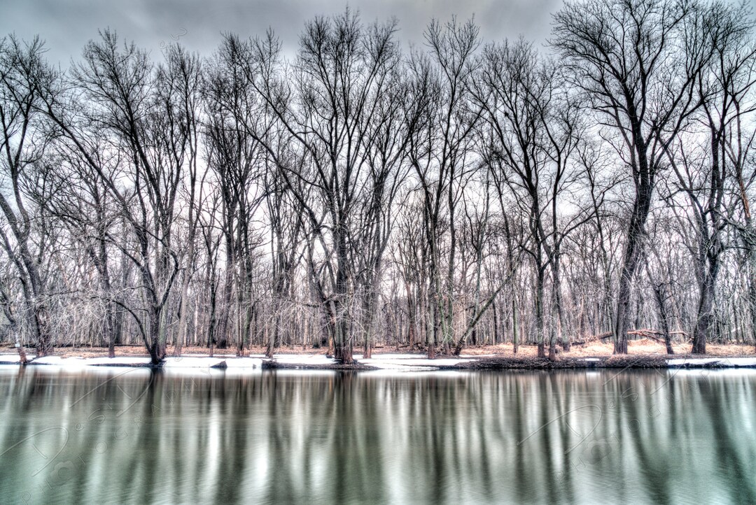 Fine Art Photo Print - Winter Trees Reflection Large Picture | Choose ...