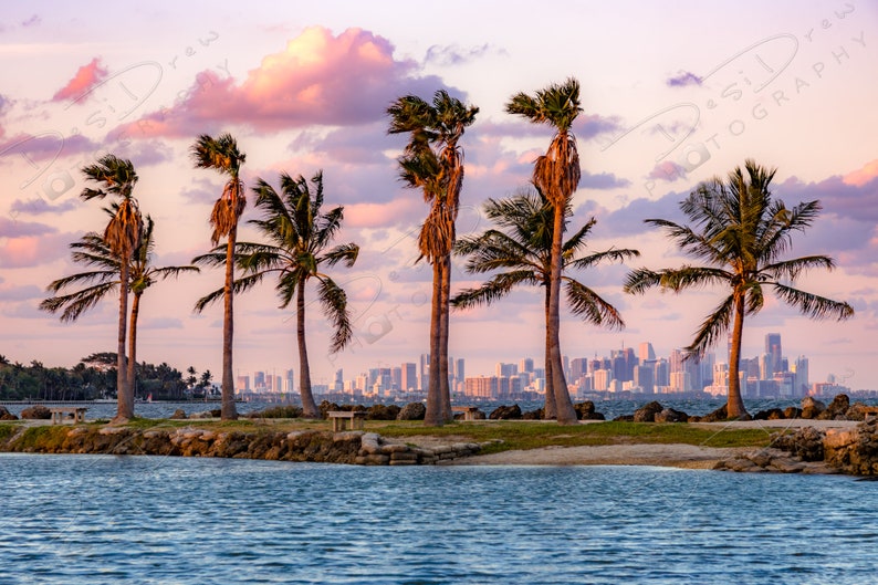 Fine Art Photo Print Miami Palm Tree Skyline Sunset Picture - Etsy