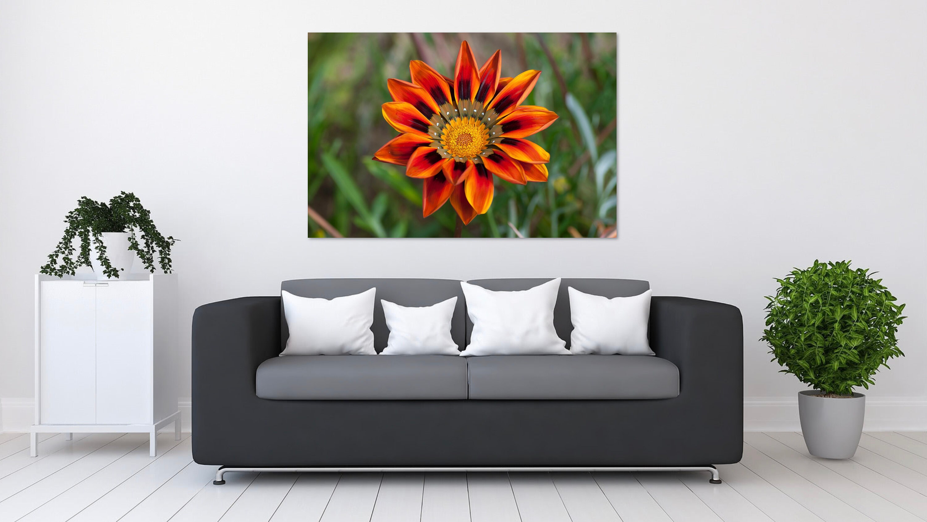 Fine Art Photo Print | Orange Treasure Flower Picture | Flower Home ...