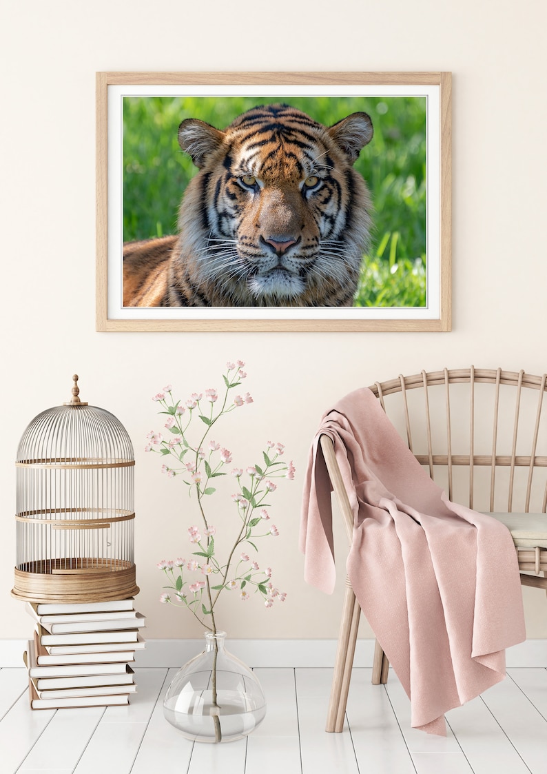 Tiger Portrait Photo Print | Tiger Wall Art | Animal Home Decor ...